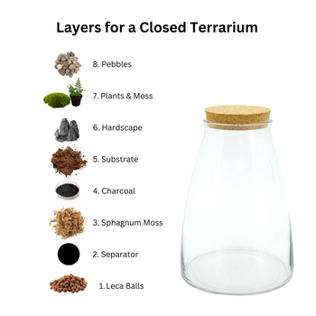 The Art of Creating Terrarium Layers – Mini Botanics