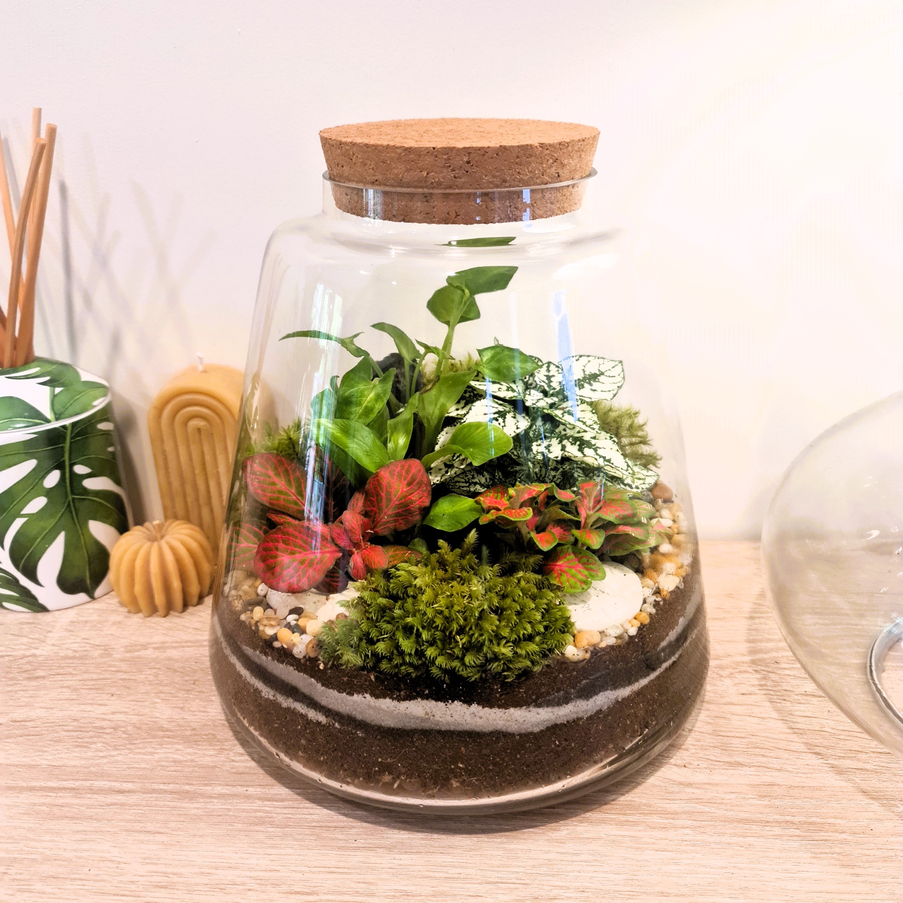 Ready-made Terrariums – Mini Botanics