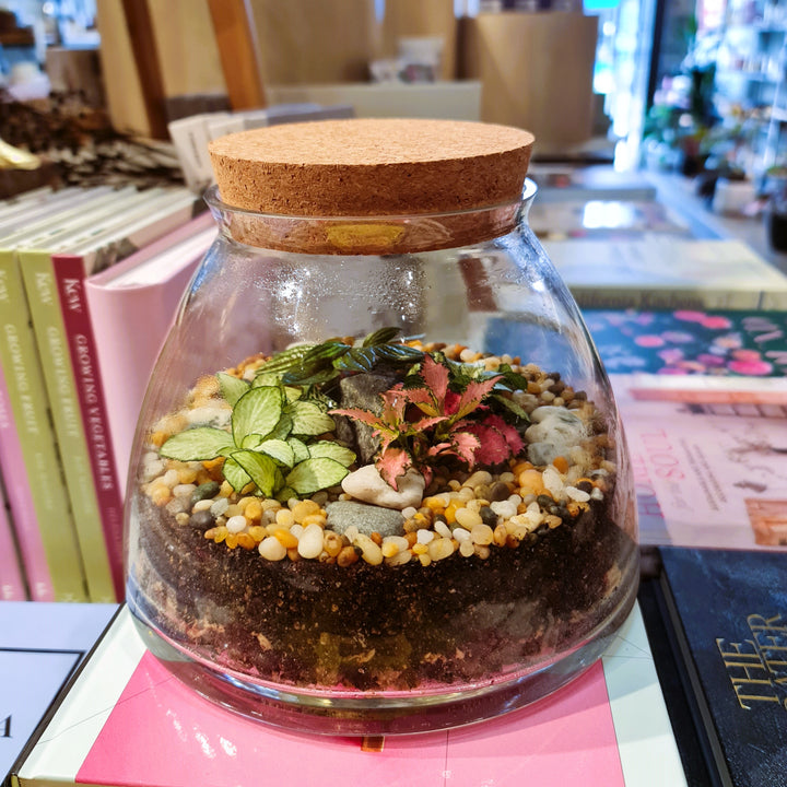 Terrarium Vessels – Mini Botanics