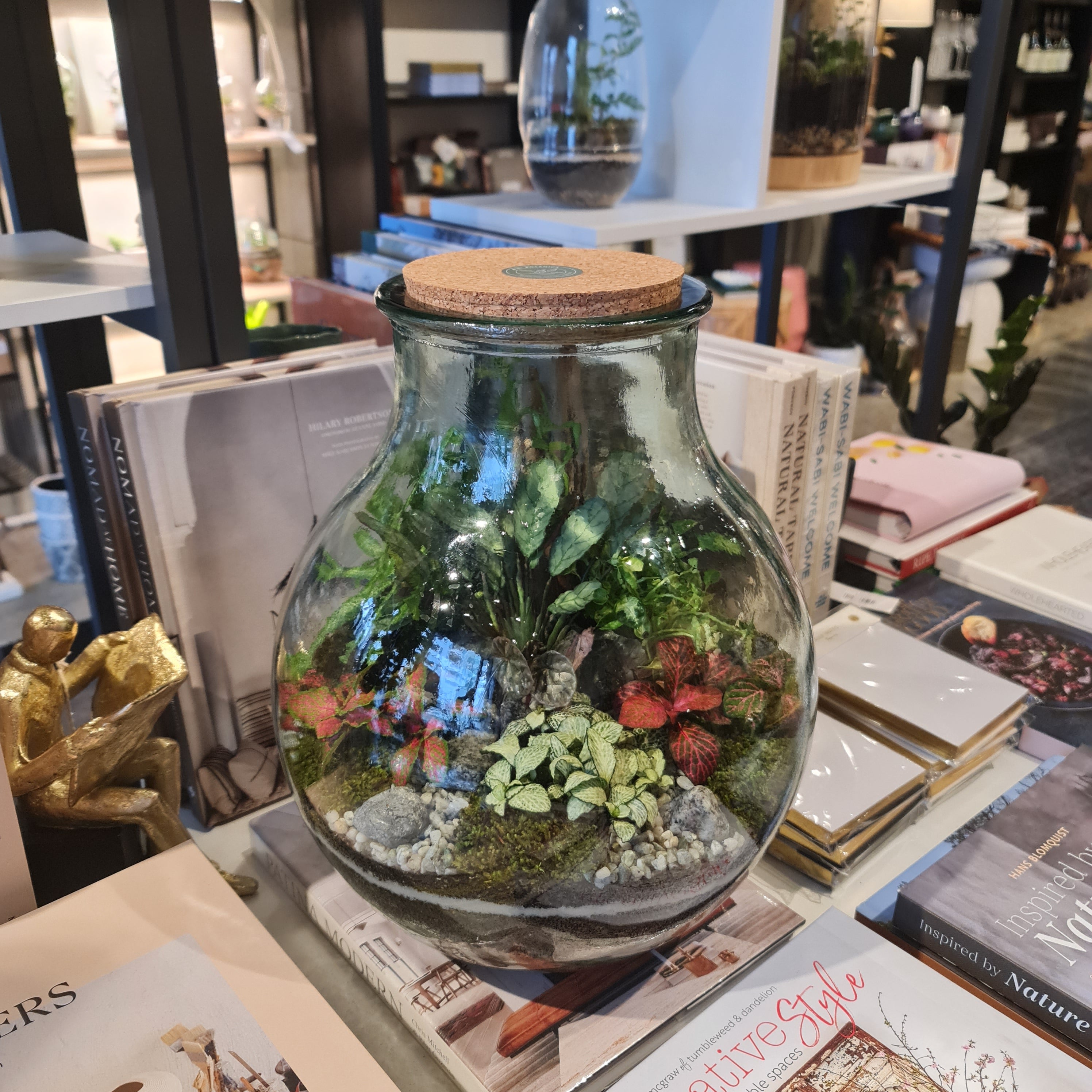 Minibotanics – Mini Botanics