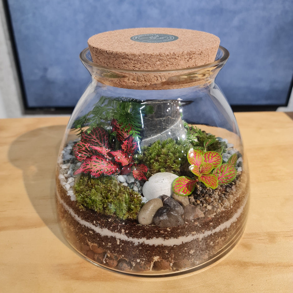 Ready-made Terrariums – Mini Botanics