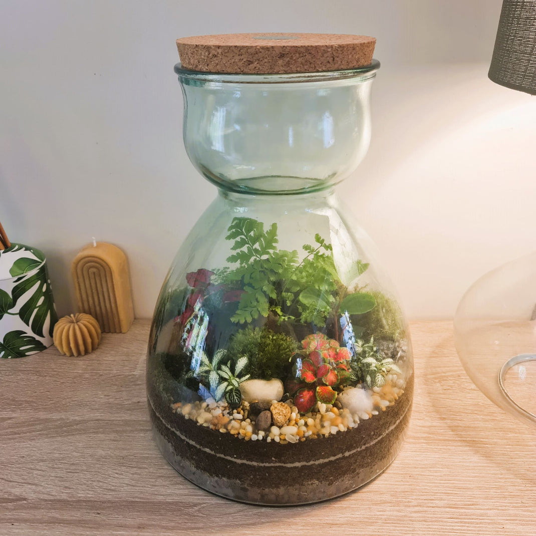 Minibotanics – Mini Botanics