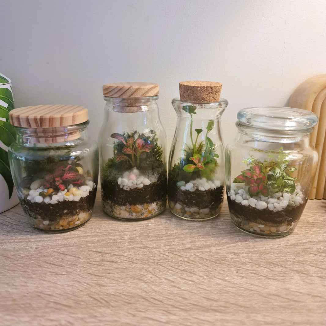 Ready-made Terrariums – Mini Botanics