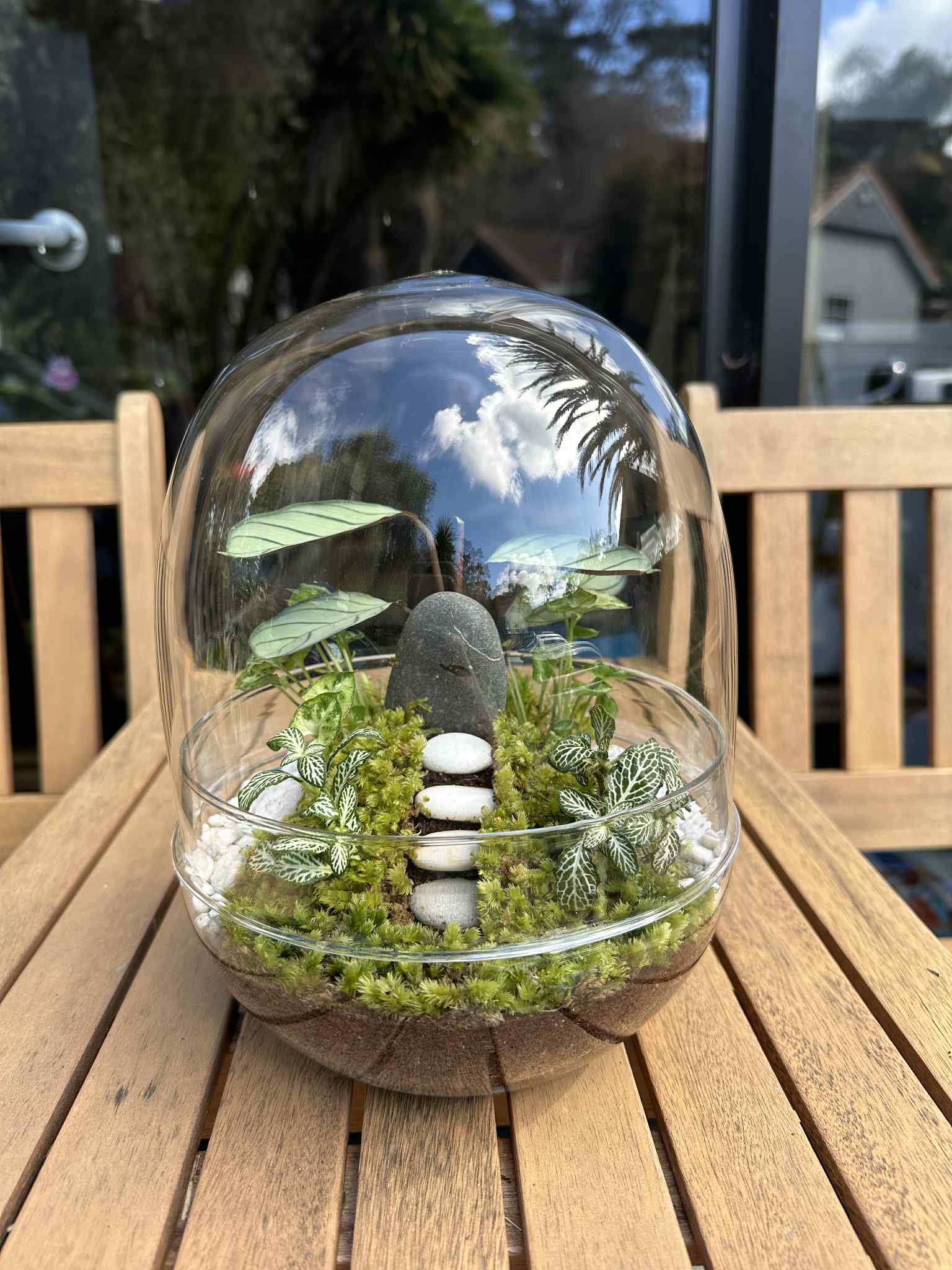 Closed Egg Terrarium – Mini Botanics