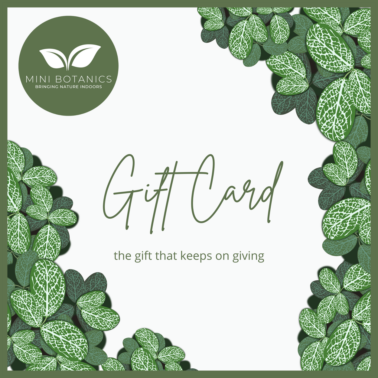 Minibotanics – Mini Botanics