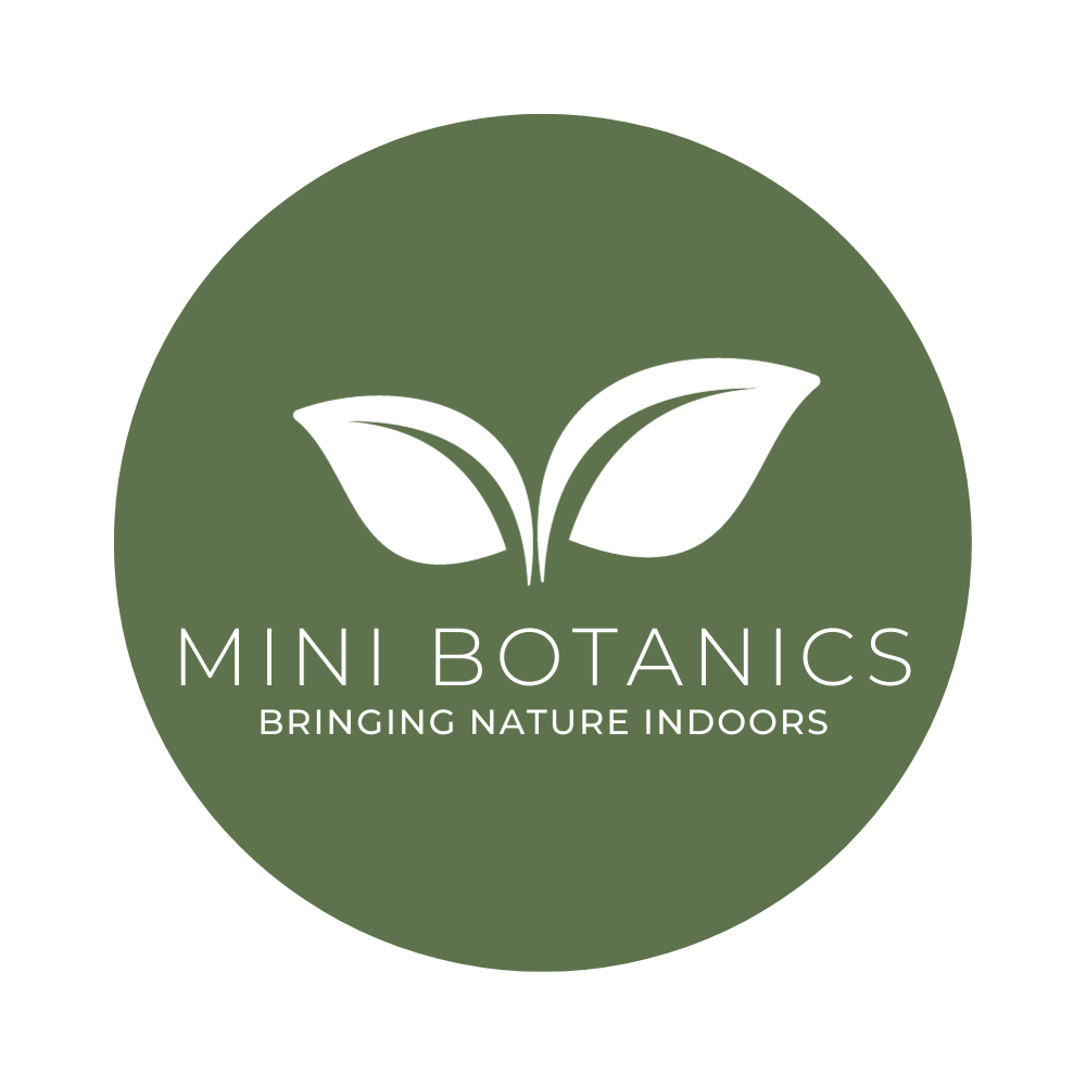 Minibotanics – Mini Botanics