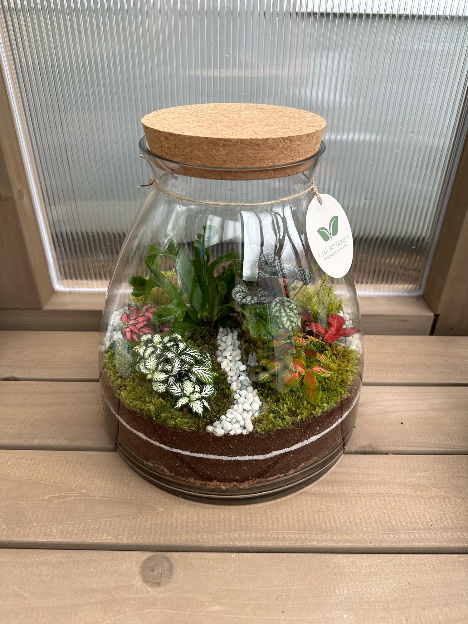 Minibotanics – Mini Botanics